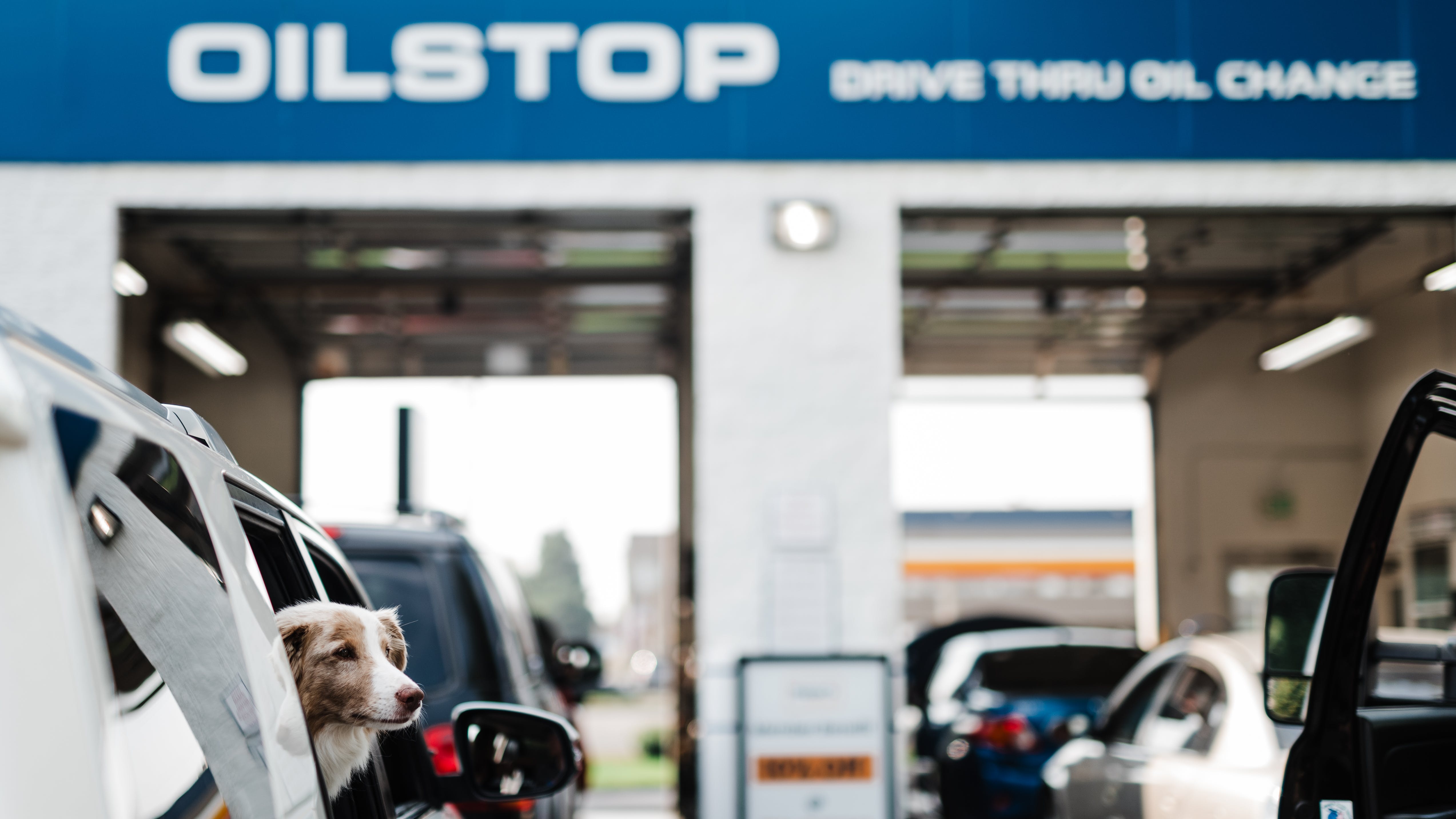 Another Look: Shop Look Highlights from 2023 | National Oil and Lube News